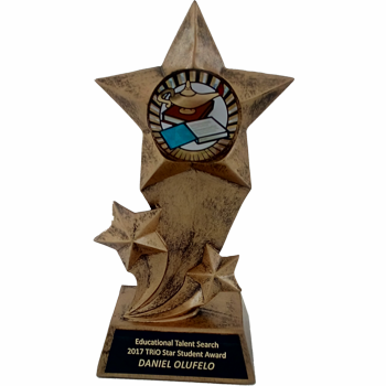 9-1/2" Resin Star w/ 2" insert disk - Benchmark | Awards Apparel Design
